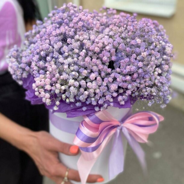 7 фиолетовых гипсофил в шляпной коробке, артикул F1214296 - 2990 рублей ...