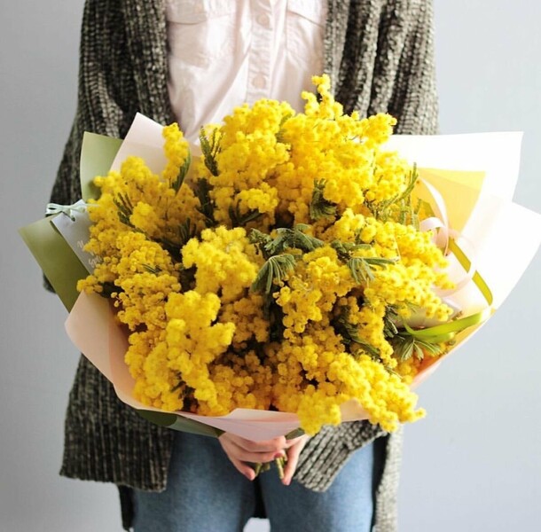 Мимоза, артикул F1240435 - 5999 рублей, доставка по городу. Flawery ...